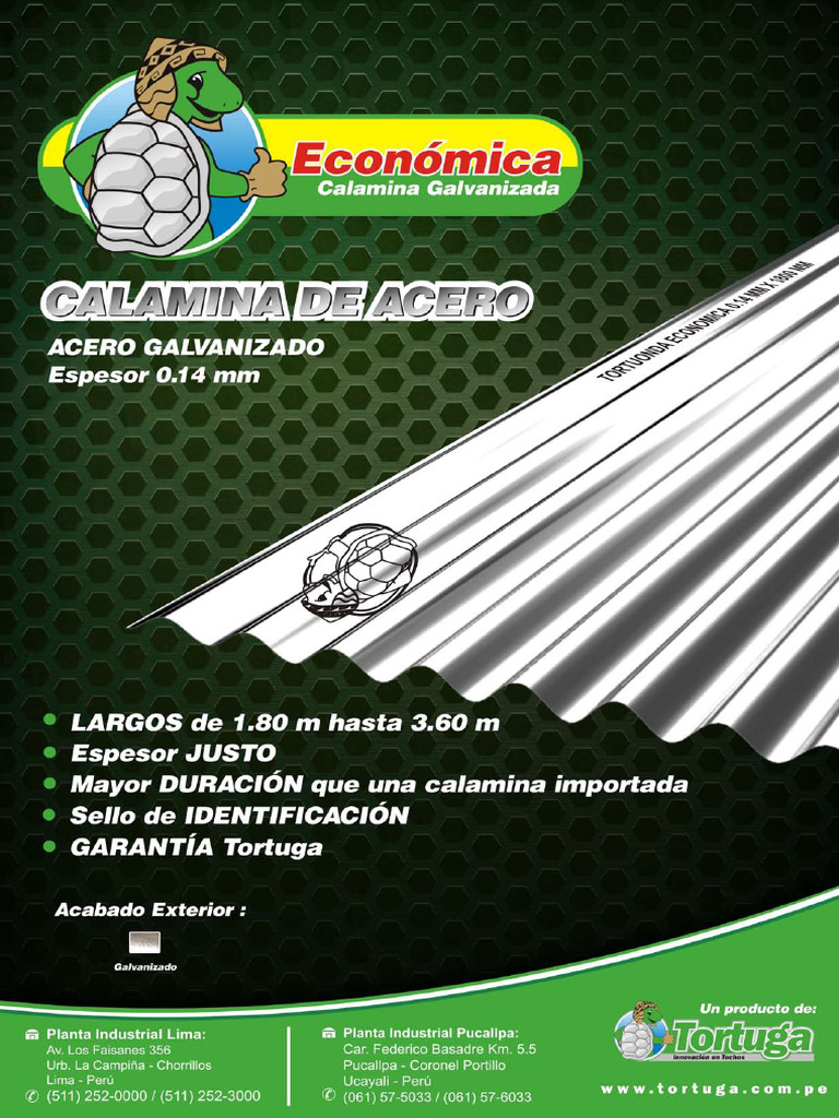 Economica Calamina Tortuga | PDF