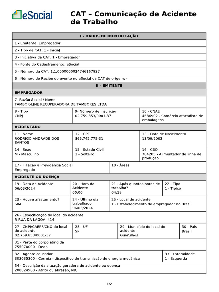 Cat Rodrigo | PDF