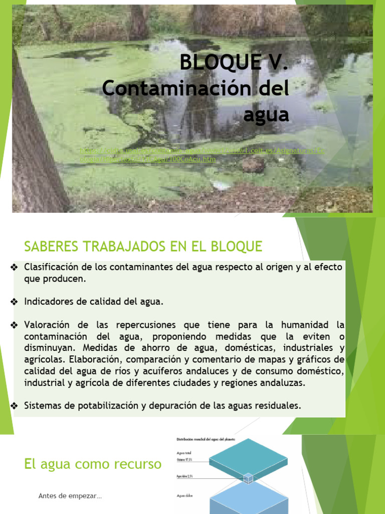 BLOQUE v. La Contaminacio%CC%81n Del Agua 23_24.PDF | Descargar gratis ...