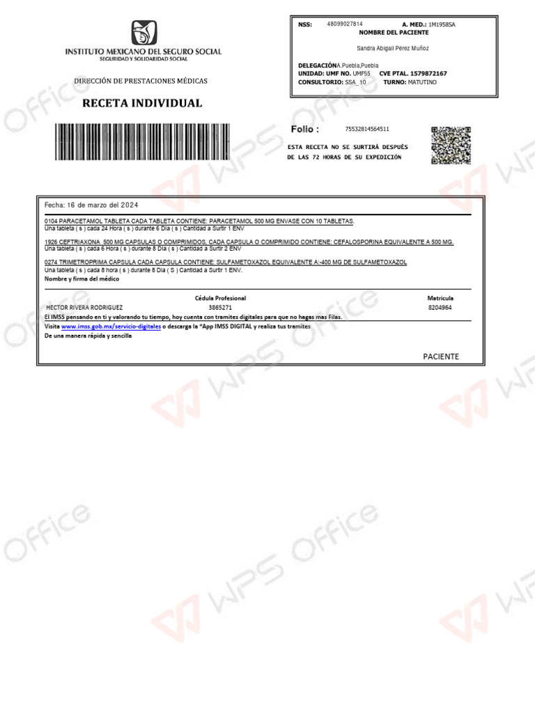 Receta IMSS Editable | PDF