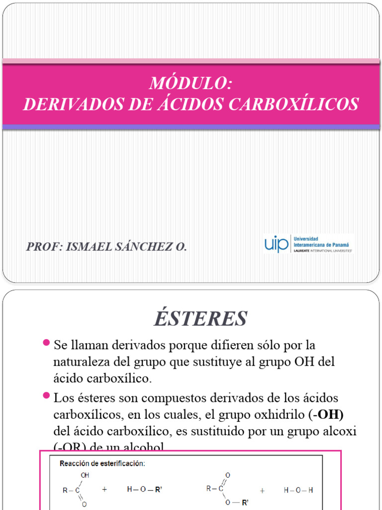 Derivados de Ácidos Carboxílicos | Descargar gratis PDF | Ester | Amida