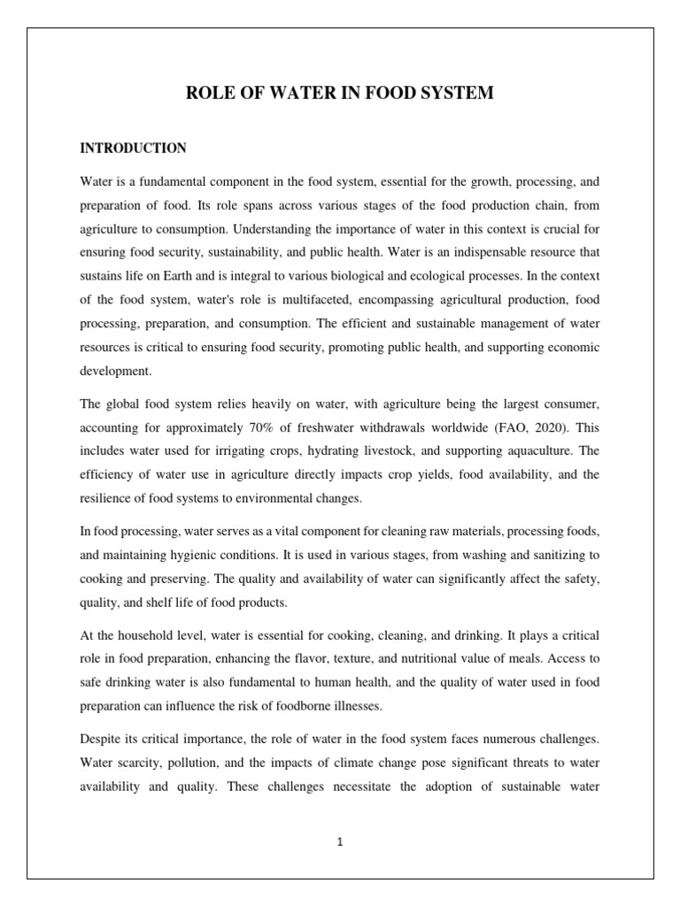 Importance of Water in Food Systems | PDF | Water | Agriculture