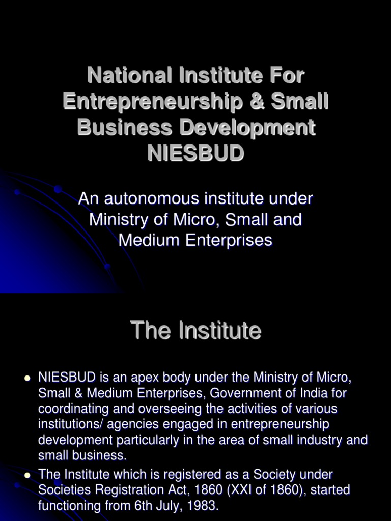 National Institute For Entrepreneurship & Small Business Development ...