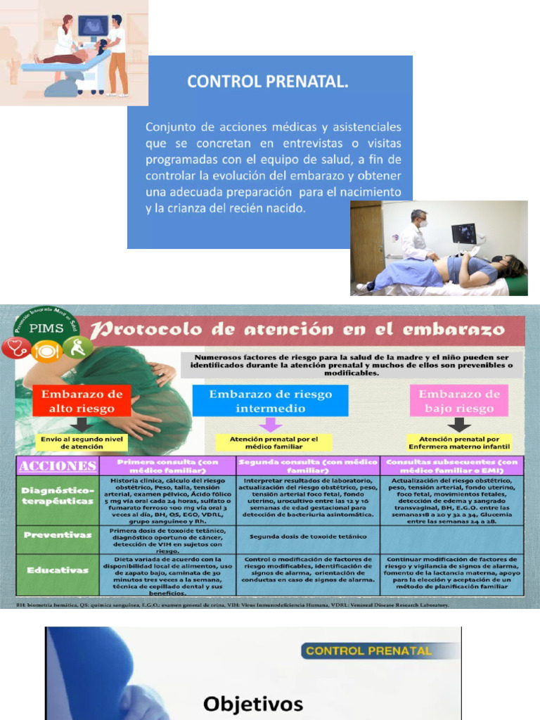 Control Prenatal | PDF