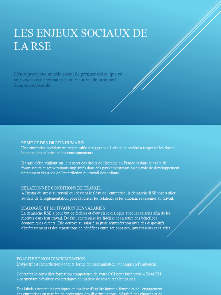 Les Enjeux Sociaux de La Rse | PDF | Responsabilité sociétale des ...