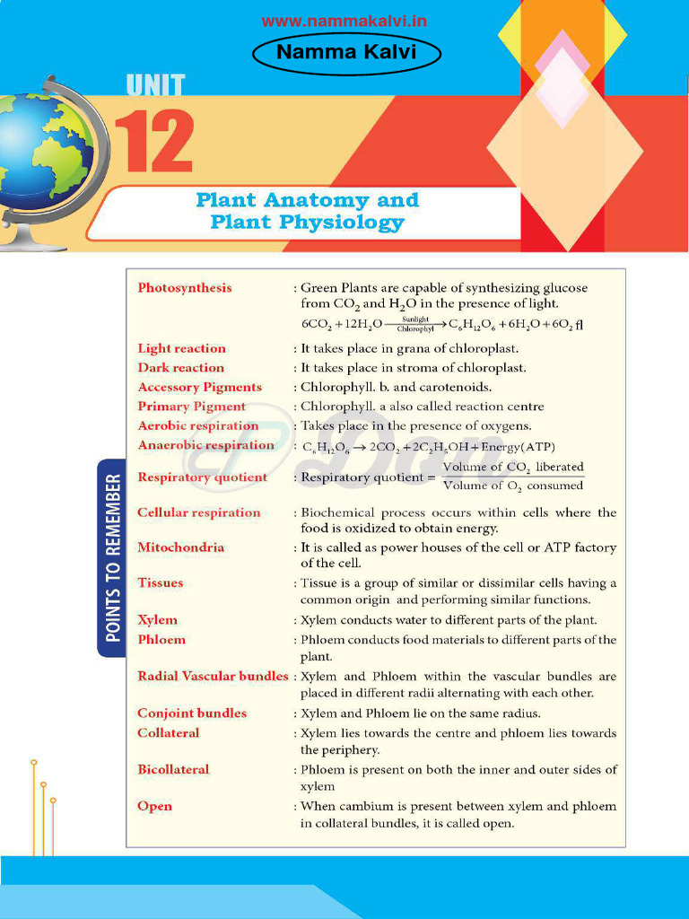 Namma Kalvi 10th Science Unit 12 To 15 Don Guide em 218805 | PDF