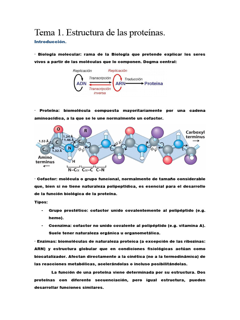 Tema 1. Estructura de Las Proteínas. | PDF | Proteínas | Estructura proteica