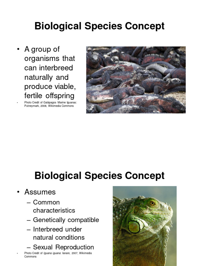 Lesson 3.2A PPT - Concept of Species (For Regular Class) | PDF ...