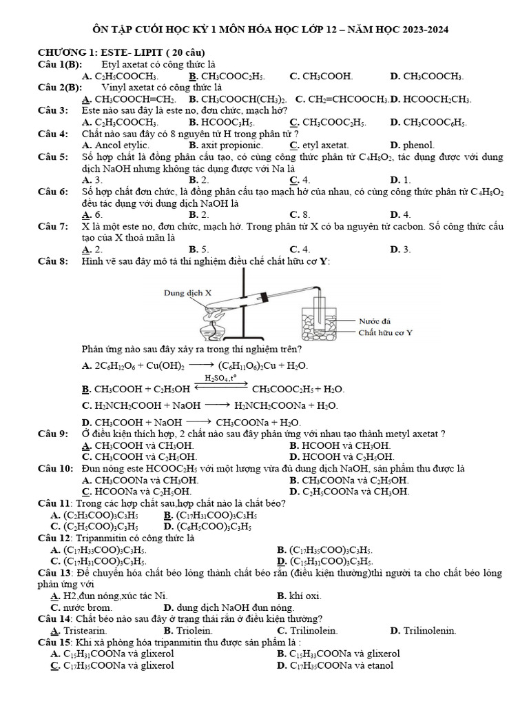Đề Cương Cuối HK1 Lớp 12 23 24 | PDF