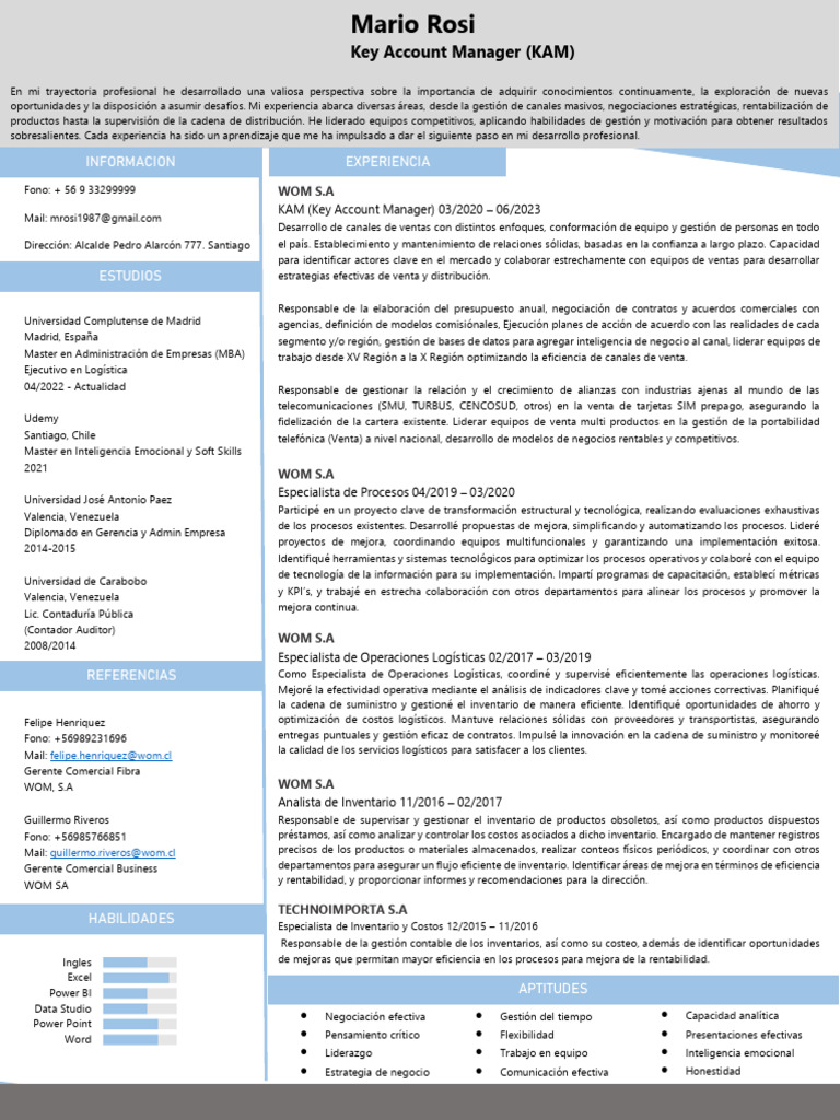 Perfil Profesional de Mario Rosi | PDF | Cadena de suministro | Business