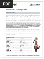 Tipos y Funcionamiento de Válvulas PSV | PDF | Válvula | Presión