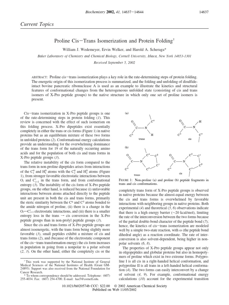 2002 Proline Cis-Trans Isomerization and Protein Folding | PDF ...