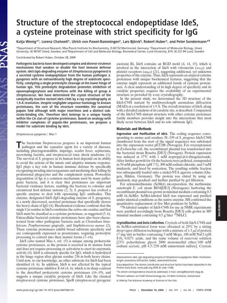 2004 Structure of The Streptococcal Endopeptidase IdeS | PDF | Active ...