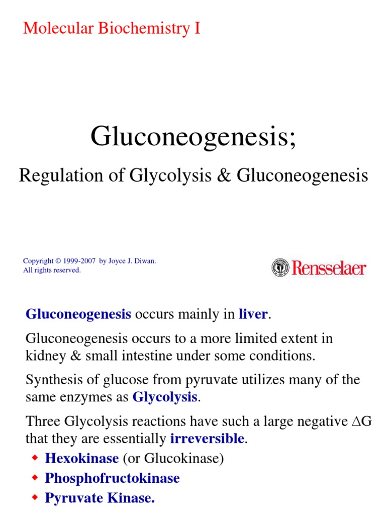Gluconeogenesis : Molecular Biochemistry I | PDF