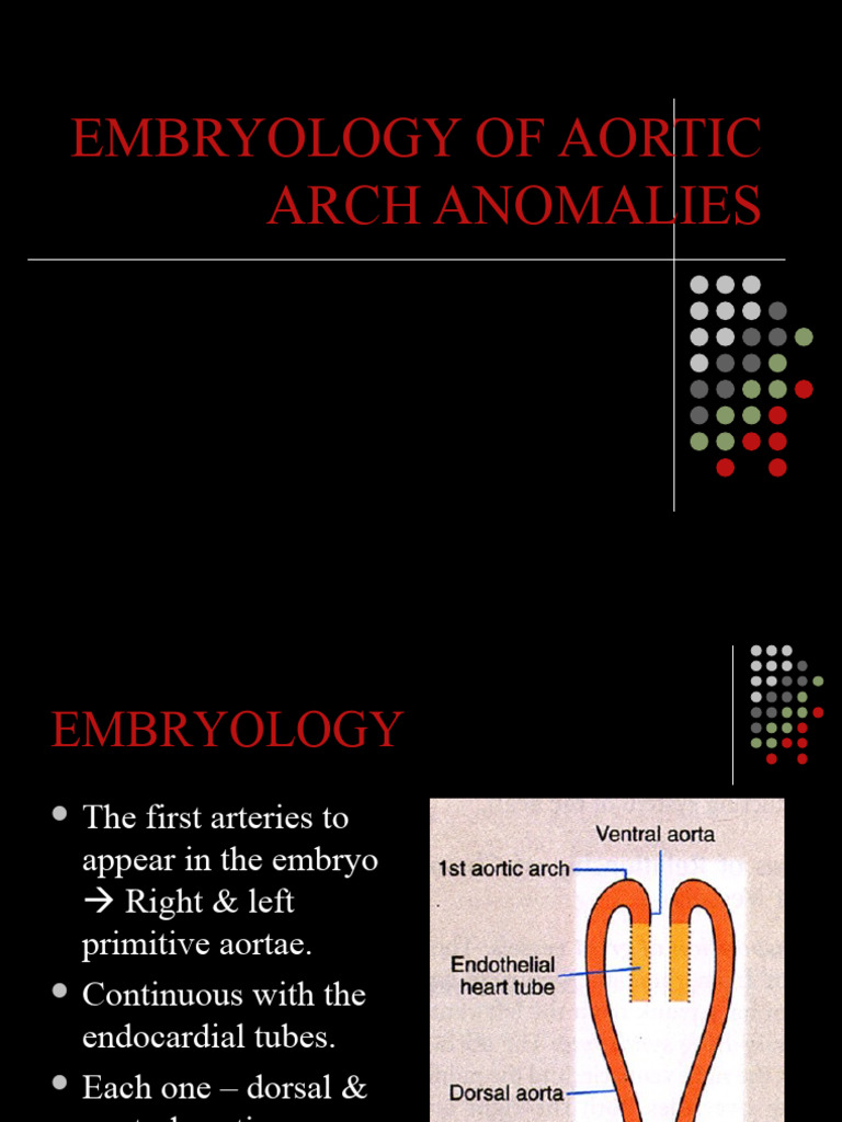 Aortic Arch Anomalies | PDF | Aorta | Cardiovascular System