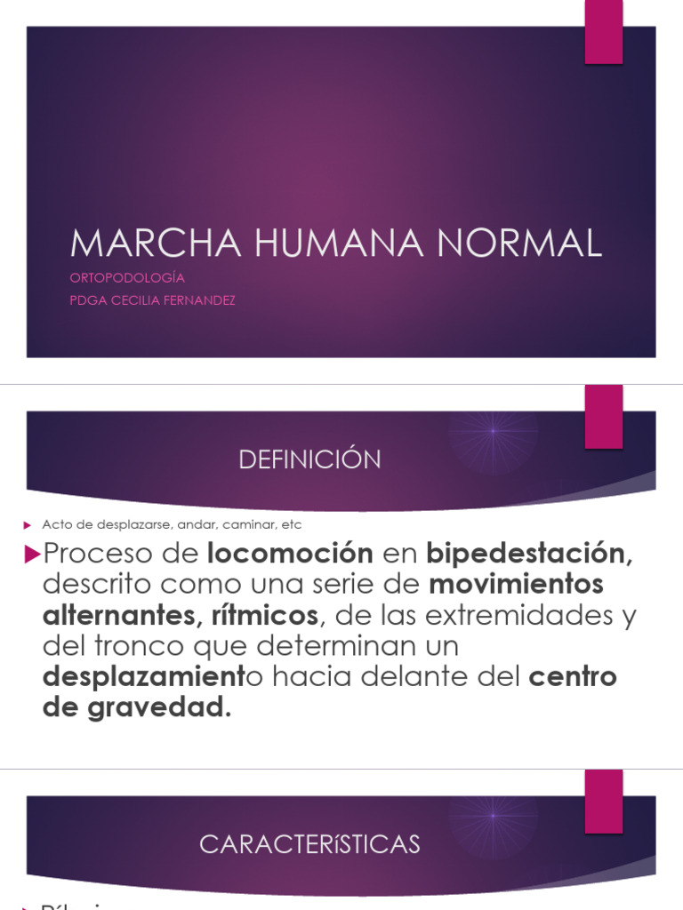 8 Marcha Humana Normal Base | PDF | Pie | Músculo