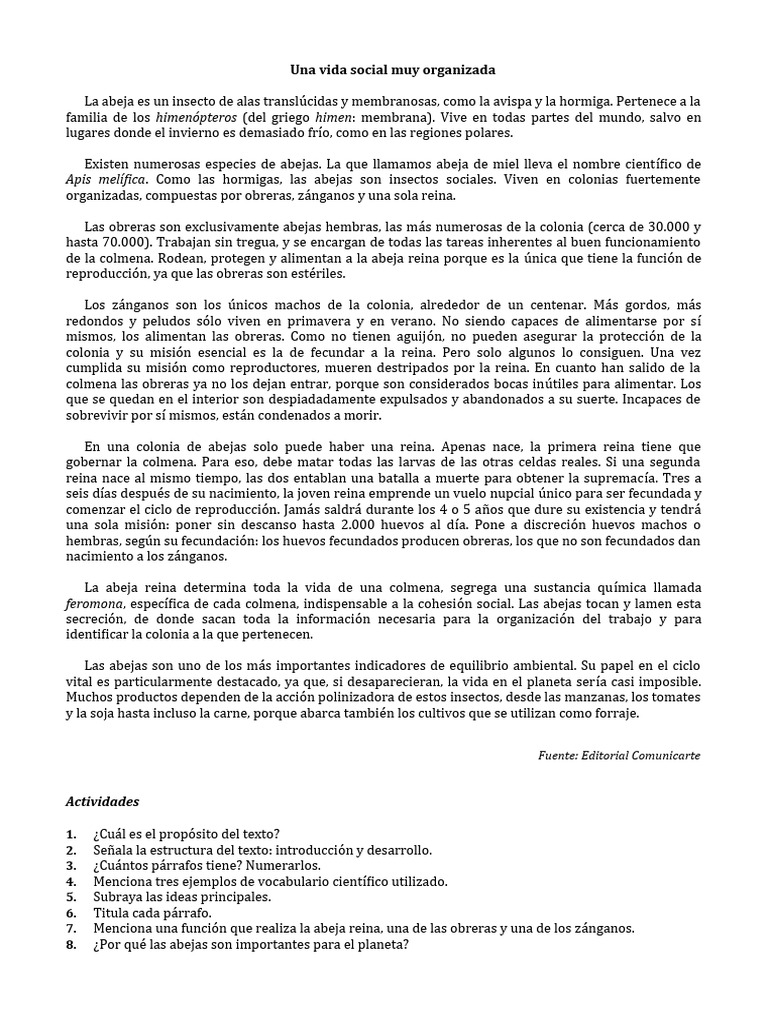 Una Vida Social Muy Organizada | PDF | Colmena | Abejas