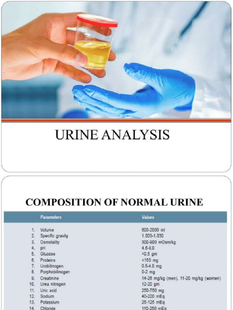 Urine | PDF