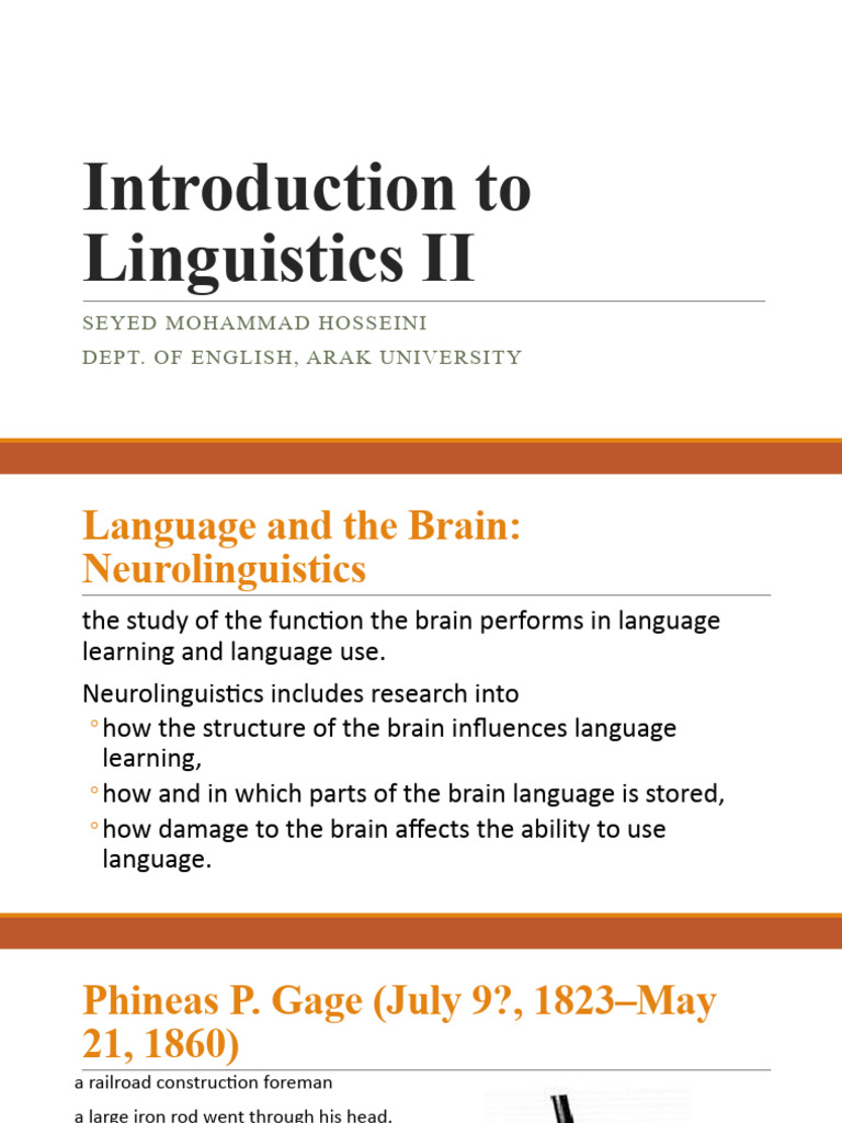 Session 12 - Language and The Brain | PDF | Aphasia | Brain