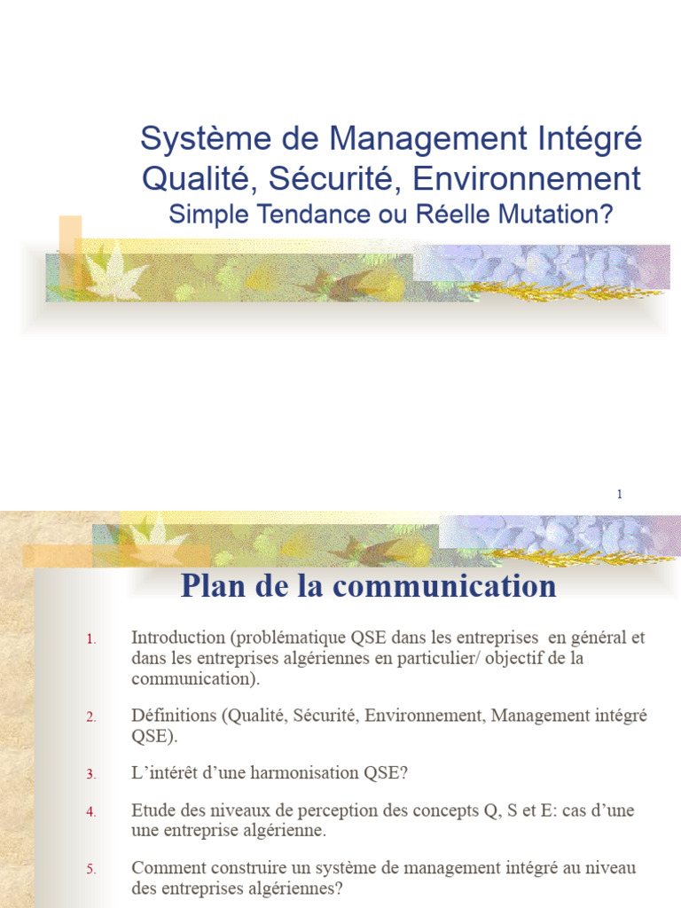 Système de Management Intégré (QSE) (Oussama Qhse) | PDF | Management ...