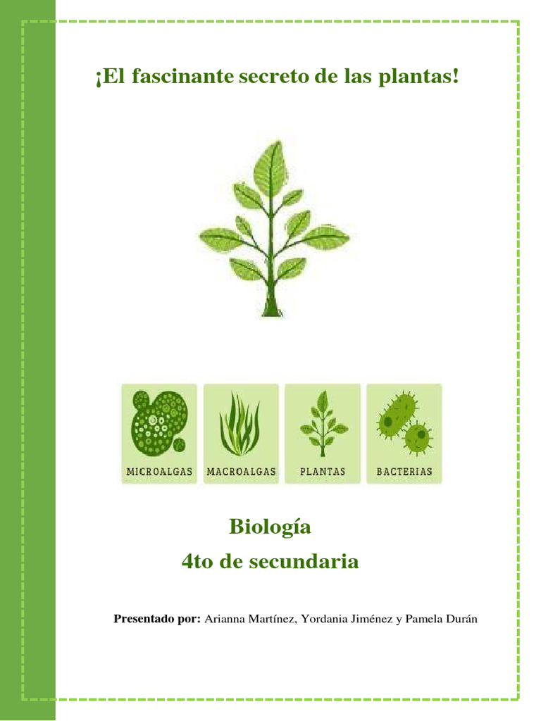 Fotosíntesis: Experimento Escolar | PDF | Fotosíntesis | Plantas