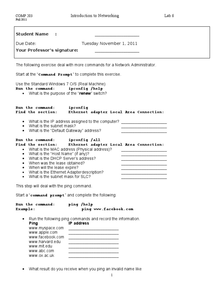 Introduction To Networking: COMP 203 | PDF | Ip Address | Computer Network