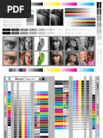 Sublimation Purge Cyan Jennifermaker PDF | PDF