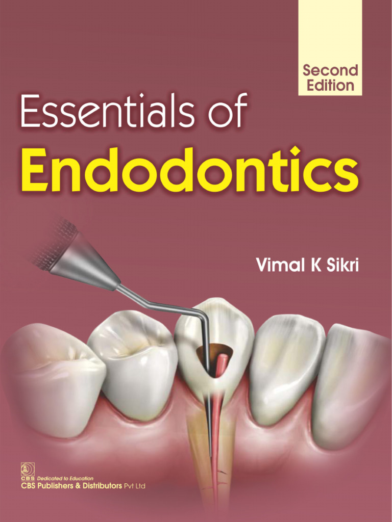 Essentials of Endodontics | PDF | Human Tooth | Dental Anatomy