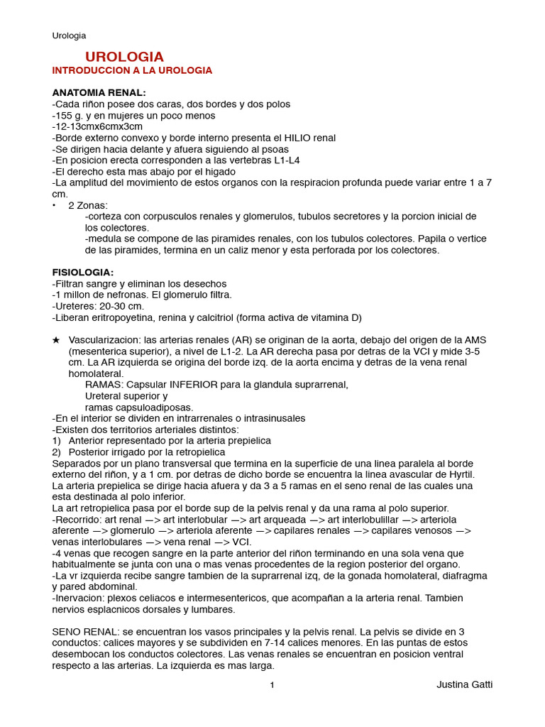 Clase 1 - SEMIO, ANATO, FISIO | PDF | Riñón | Sistema genitourinario