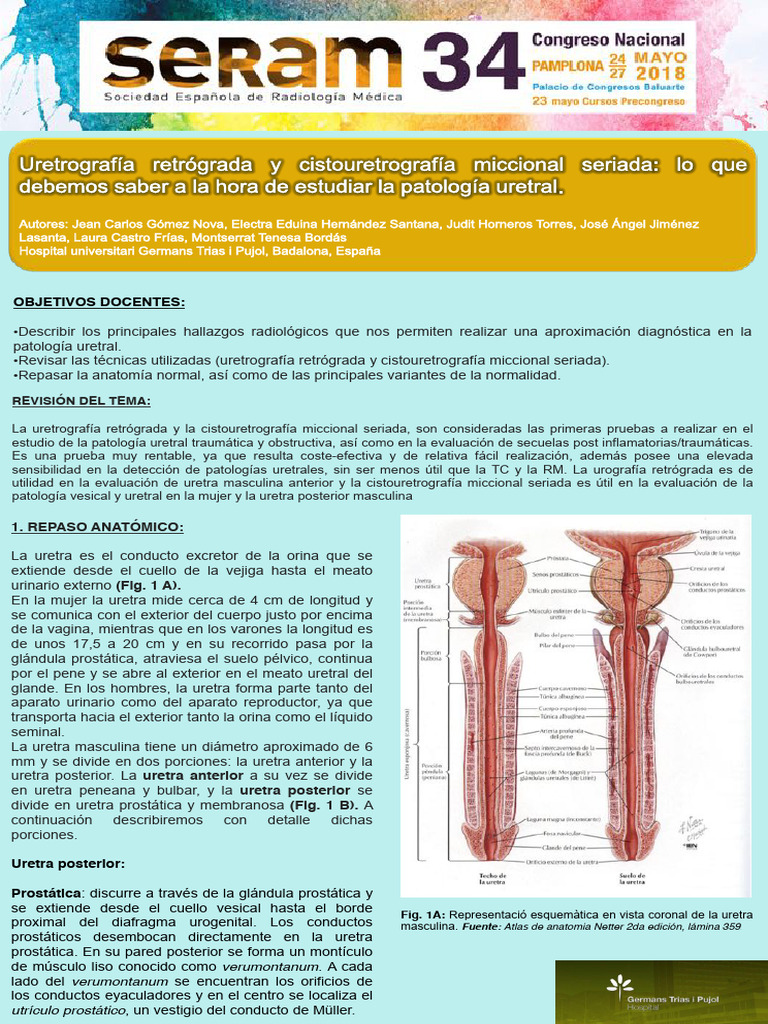 Uretrocistograma Seriado | PDF | Sistema genitourinario | Urología