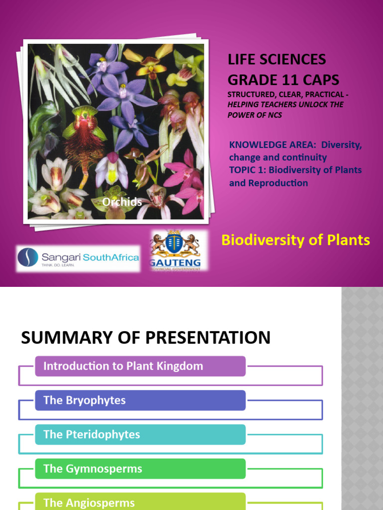 Grade 11 Plant Biodiversity Overview | PDF | Leaf | Sexual Reproduction