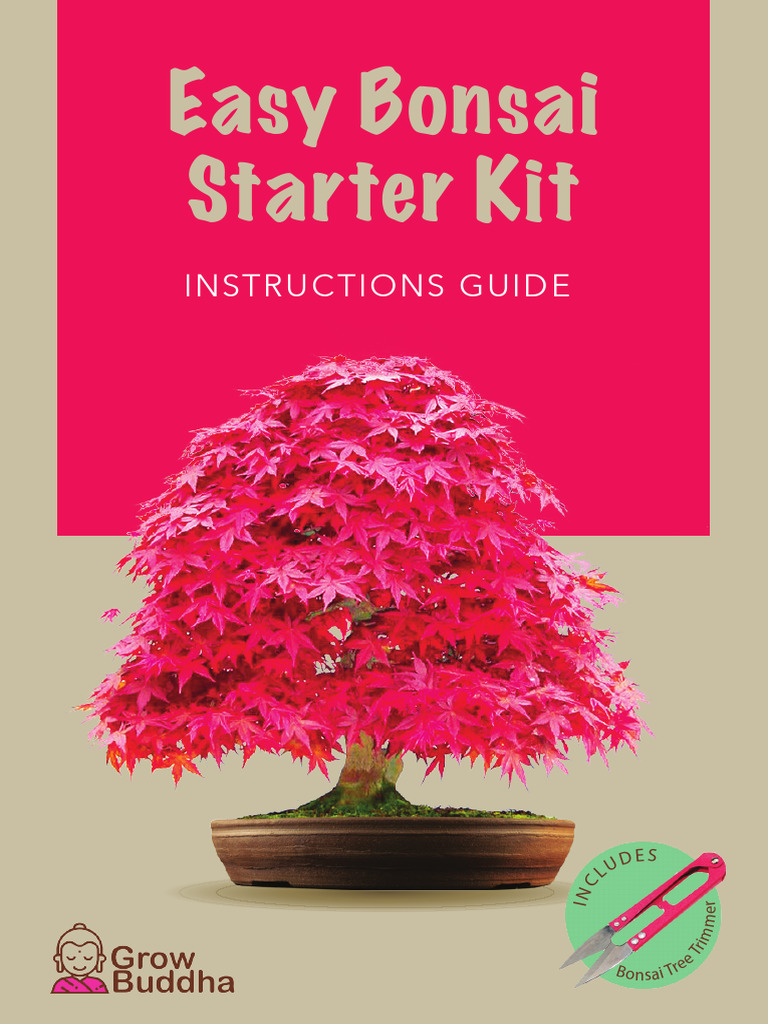 Instructions English | PDF | Trees | Seed