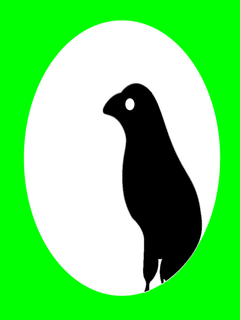 Cigua Palmera Graphic | PDF