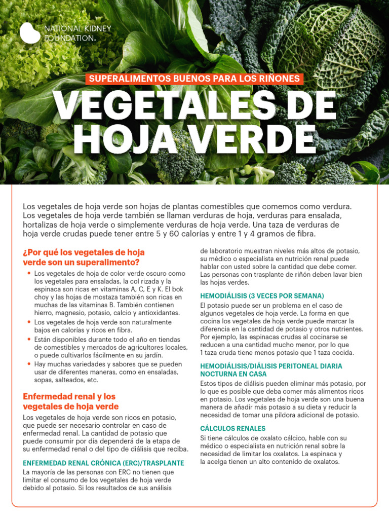 Leafy Greens Spanish | PDF | Vegetales | ensalada