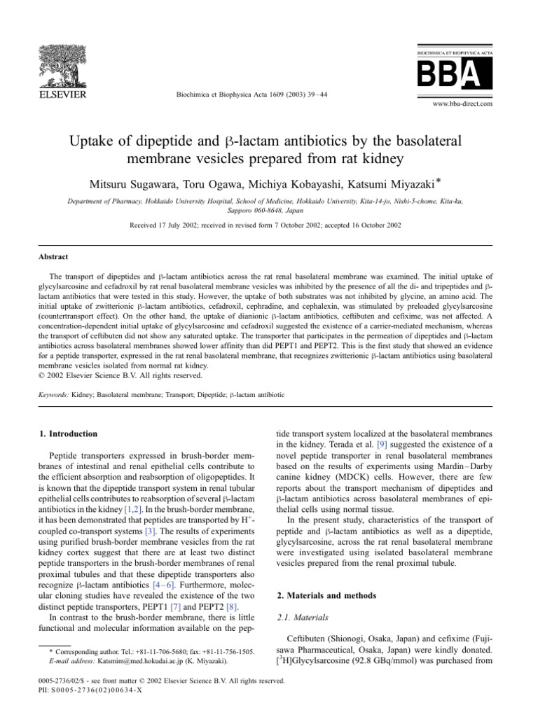 Uptake of Dipeptide and B-Lactam Antibiotics by The Basolateral ...