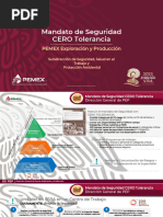 13 Directrices de Cero Tolerencia | PDF | México