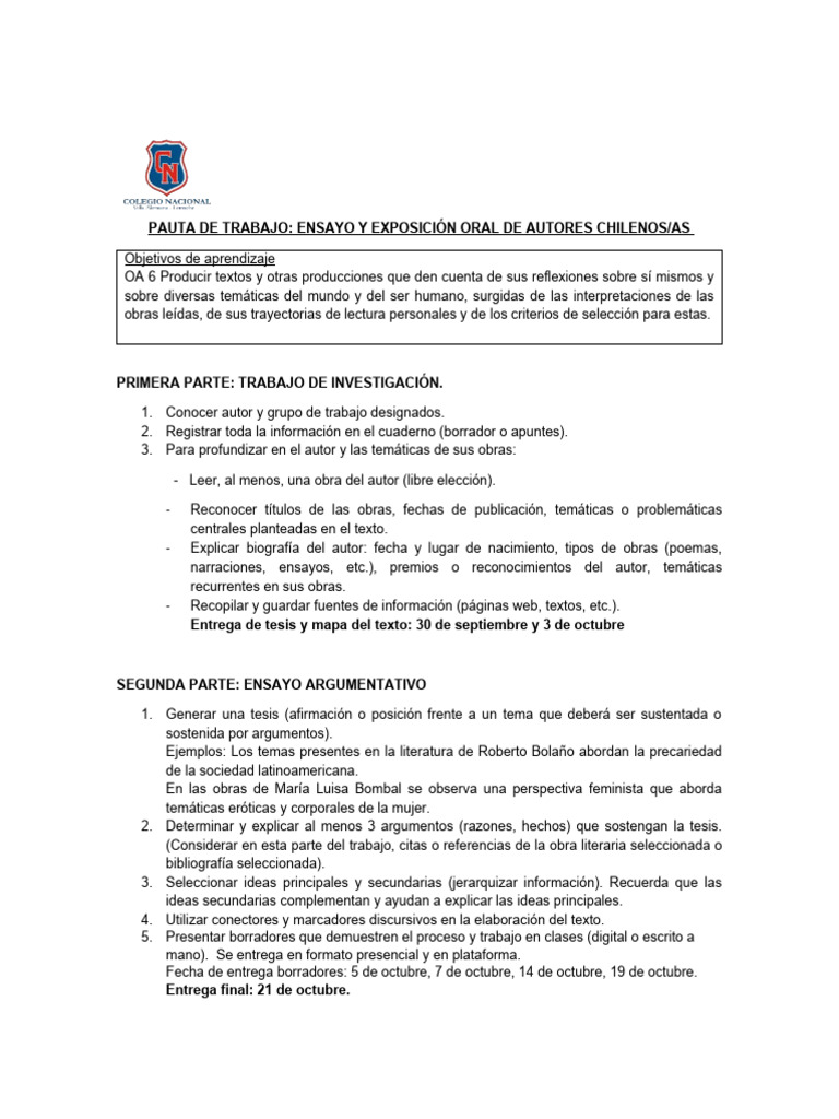 Z. PAUTA DE TRABAJO ENSAYO FINAL | PDF | Ensayos | Autor