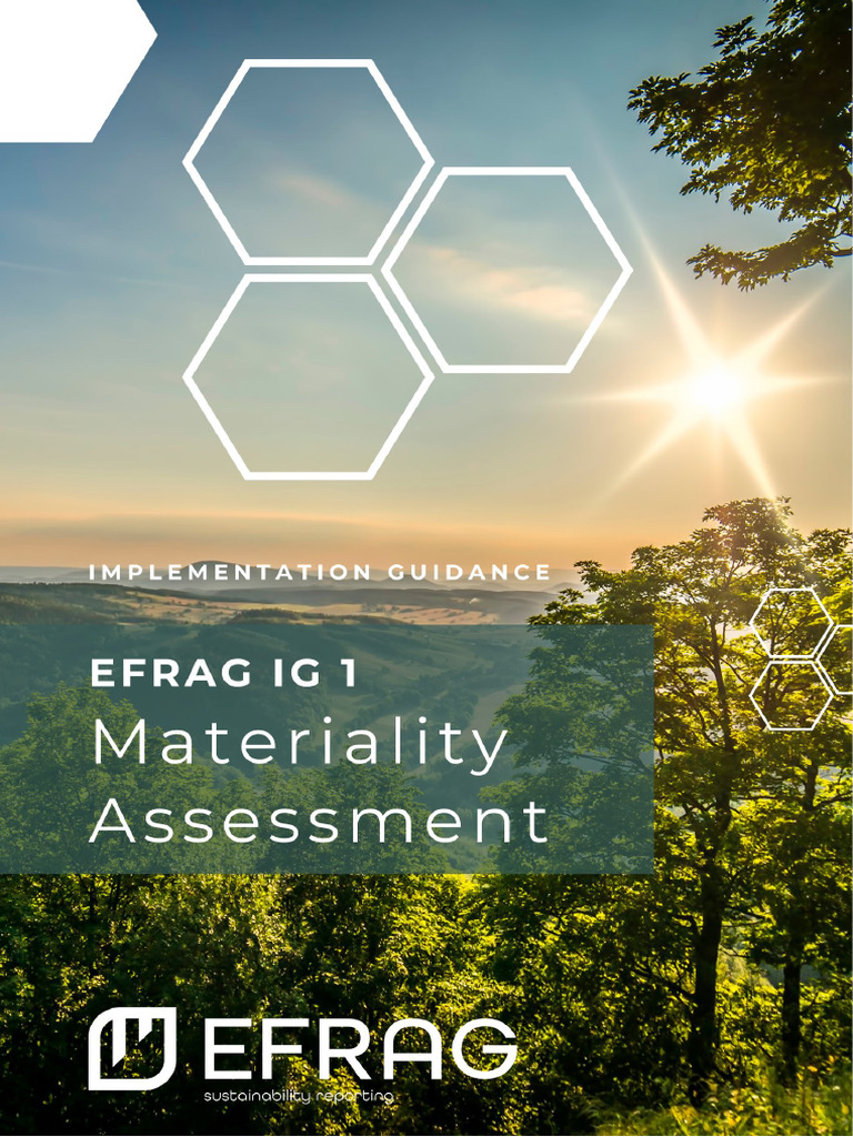 EFRAG Materiality 1 | PDF | Risk | Sustainability