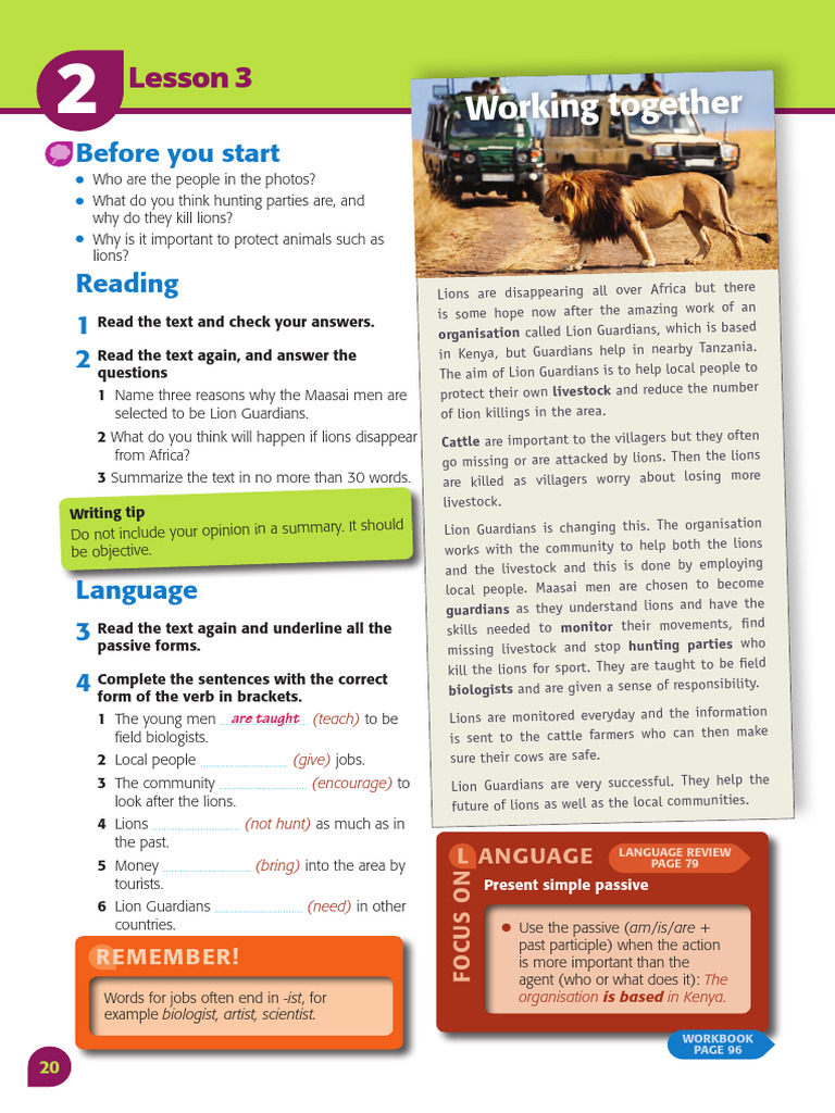 Working Together: Lesson 3 | PDF | Lion