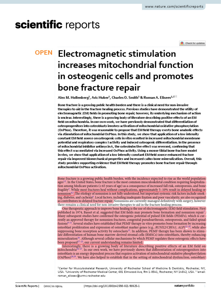 HOLLENBERG 2021 - Electromagnetic Stimulation Increases Mitochondrial ...
