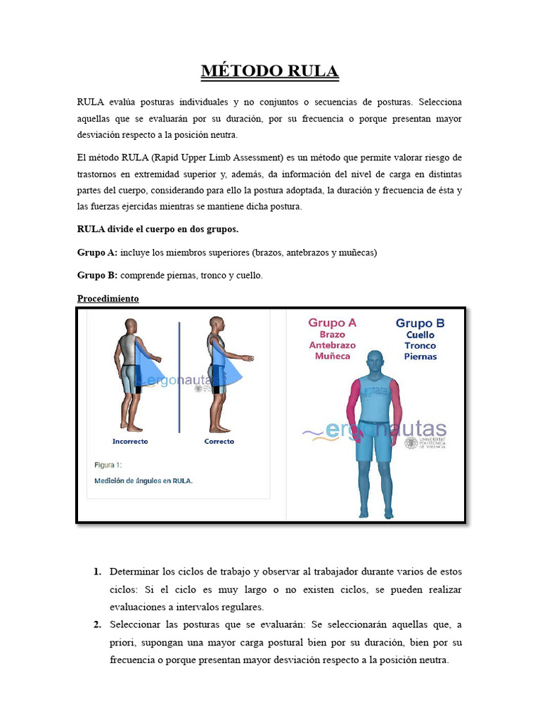 MÉTODO RULA | PDF | Frecuencia
