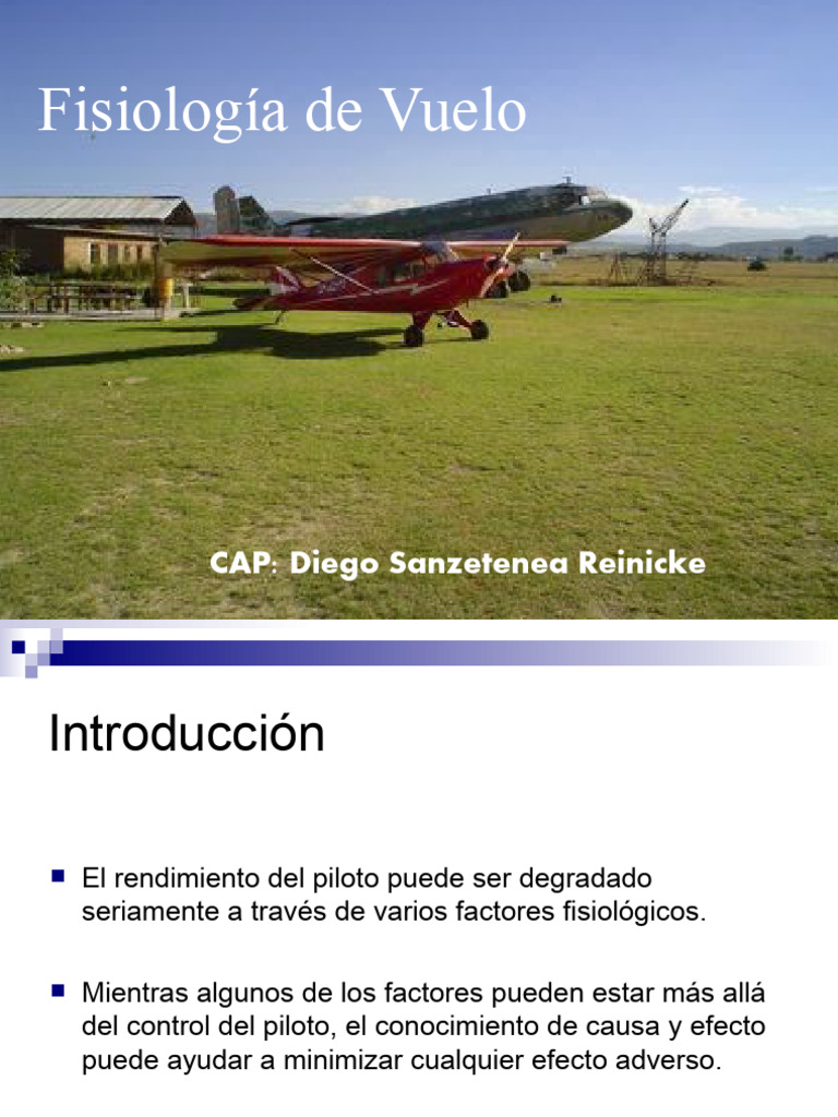 Fisiologia de Vuelo | PDF | Percepción visual