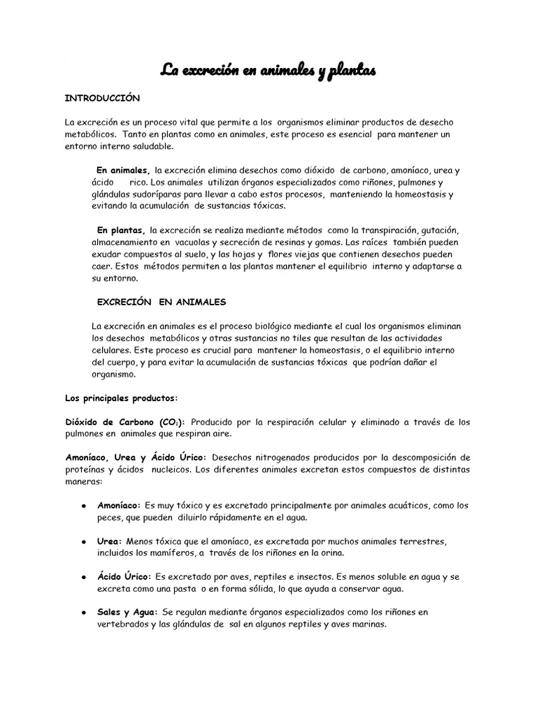 Animales y Planta | PDF | Excreción | Biología