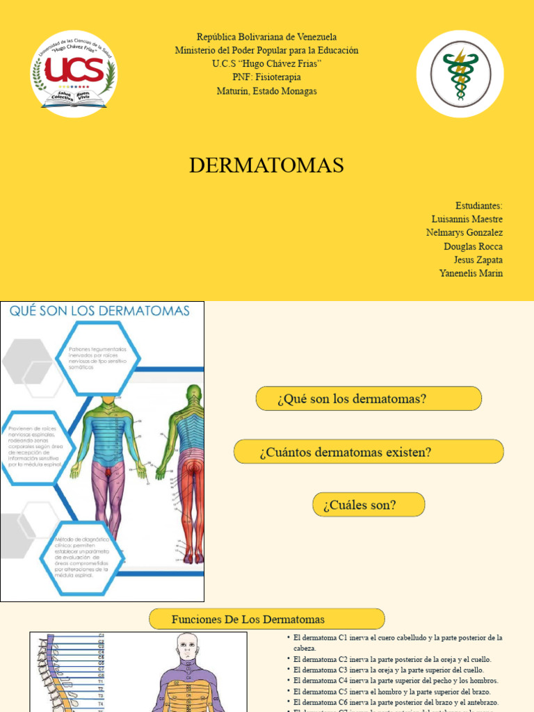 Evaluación y Funciones de Dermatomas | PDF | Neurología | Medicina CLINICA