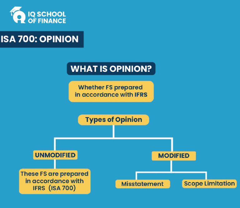 ISA 700 Opinion | PDF