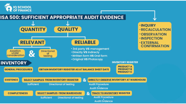 ISA 500 Sufficient Appropriate Audit Evidence | PDF