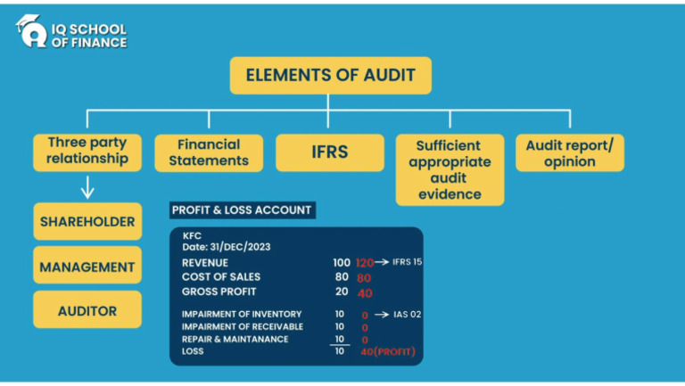 Conceptual Framework of Audit | PDF
