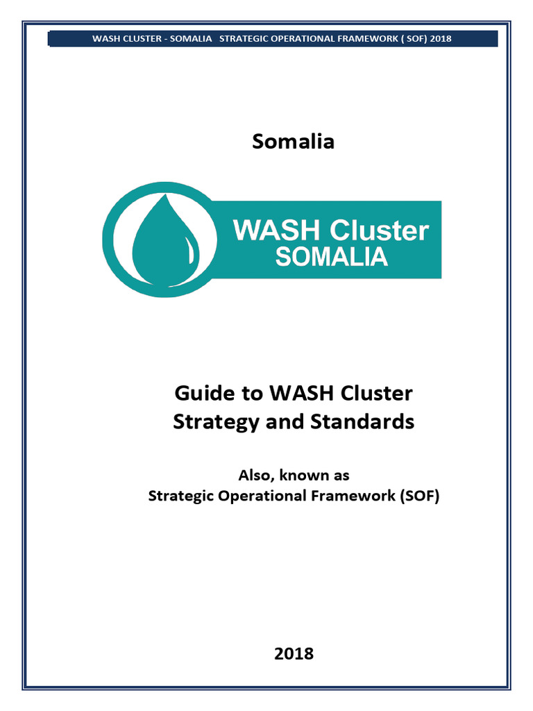 Guide To Wash Cluster Strategy and Standards Sof | PDF | Wash | Sanitation