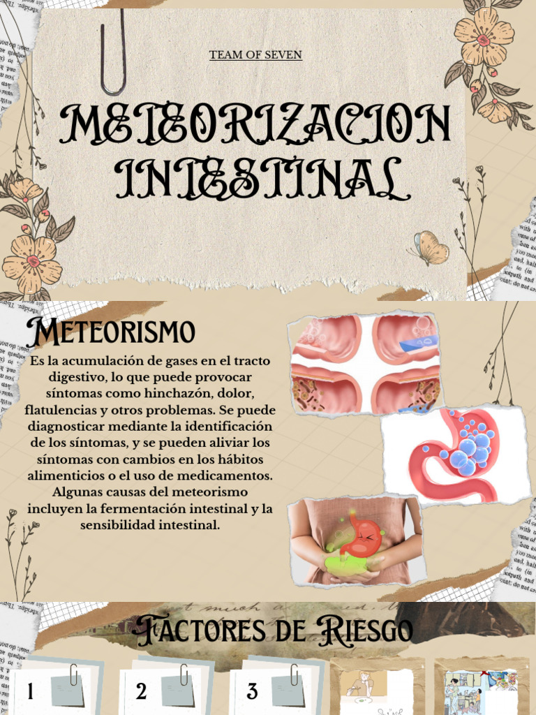 Guía sobre Meteorismo Intestinal | PDF | Flatulencia | Alimentos