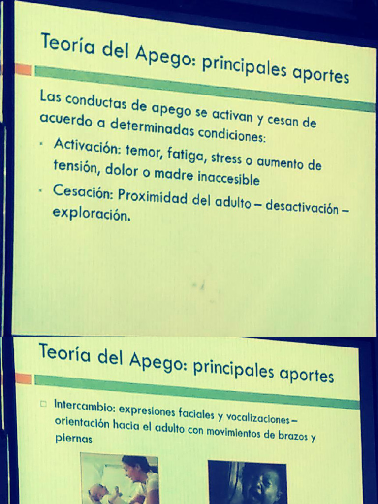 Teórico Apego | PDF